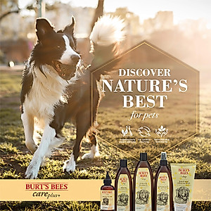 Burt's Bees for Pets Care Plus+ Naturally Derived Relieving Itch & Hot Spot Spray with Chamomile & Rosemary - Best Hot Spot Treatment for Dogs - Cruelty Free,Made in USA, 12 Oz