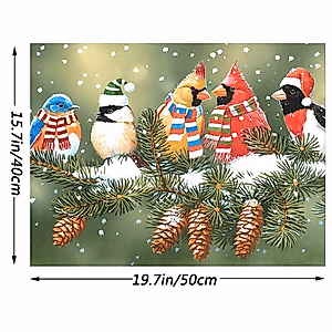 Tenei Paint by Numbers for Adults & Kids Oil Paint DIY Craft Paintings Art Set on Canvas Color by Number Kits Acrylic(Birds)