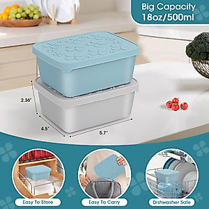 Oyrlize 4Pack Stainless Steel Snack Containers (18oz/1.6oz)- Snackbox Reusable Small Lunch box Leakproof Stainless Steel Food Storage Container Metal Mini Bento Box with Dip Containers