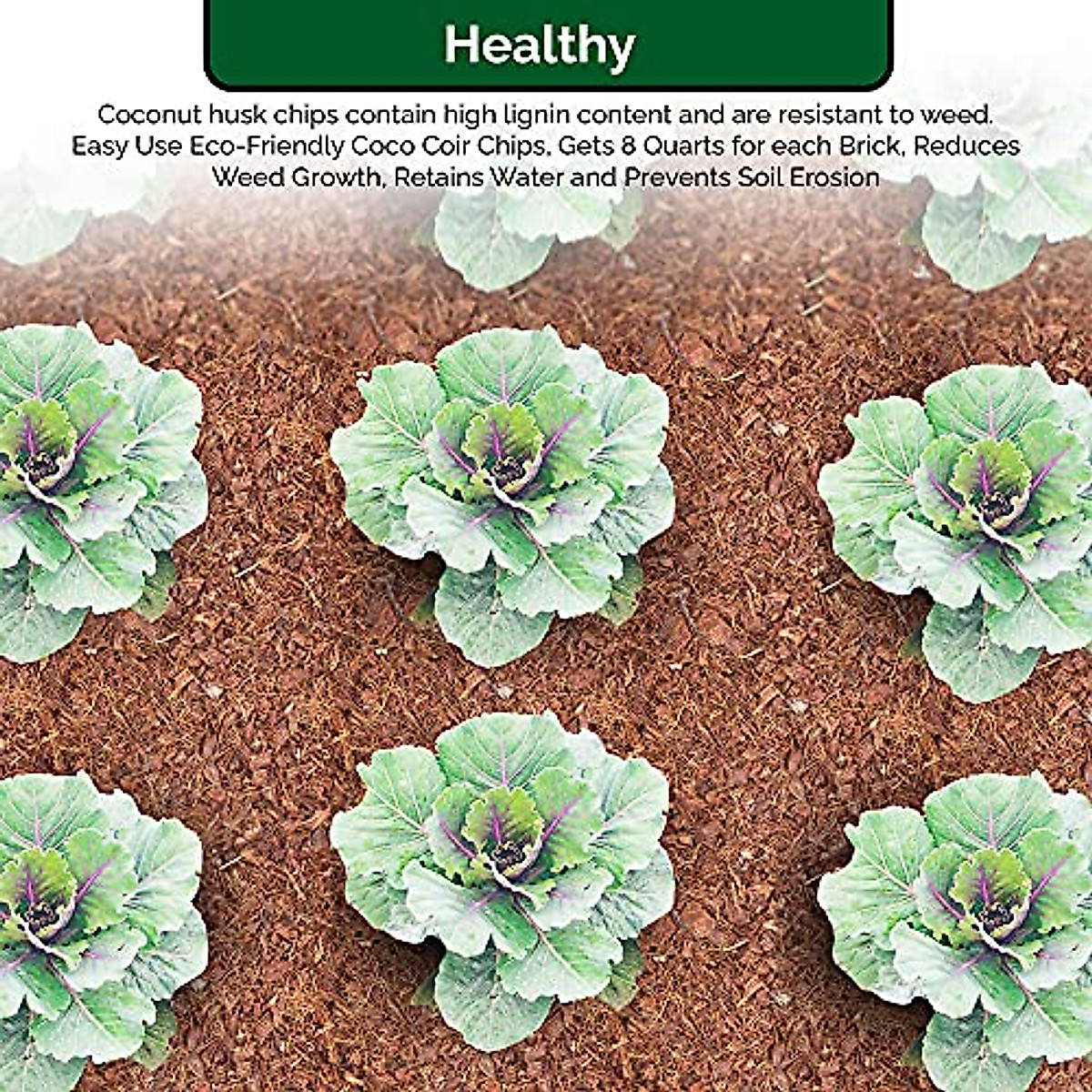 UBICON Easy Use Coco Coir Organic Top Soil; Each Brick Gets 7 Quarts, Excellent Aeration, Reduces Weed Growth, and Retains Water (4)