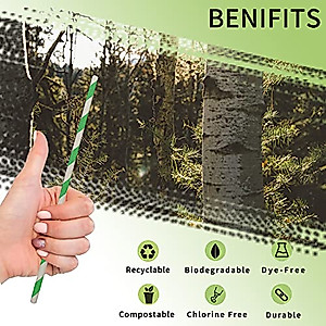 Green White Striped Straws, Disposable Paper Straws Spring Green Biodegradable Paper Drinking Straws 7.75 inch (100 of Box)
