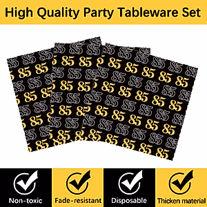 96 Pcs 85th Birthday Party Supplies 85th Birthday Tableware Plates Cheers to 85 Years Table Decorations Dinnerware Happy 85th Birthday Party Favor for Men Woman Eighty-five Years Birthday 24 Guests