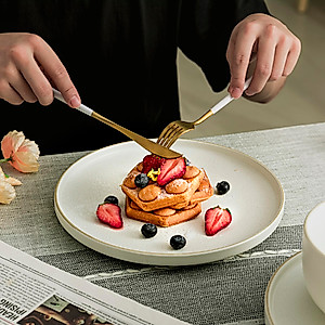 S&Q'S CERAMICS S&Q Dinner Plates Set of 6, 10.5 inch Matte Off-White Plates Ceramic Dinnerware Serving Dishes for Kitchen, Microwave and Dishwasher Safe, Scratch Resistant (Glazed Matte Off-White)