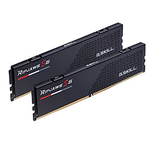 MEM 2 * 32G|GSK F5-5200J3636D32GX2-RS