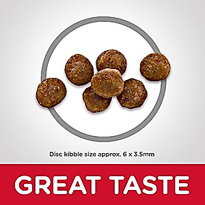 Hill's Science Diet Dry Cat Food, Kitten, Indoor, Chicken Recipe, 7 LB