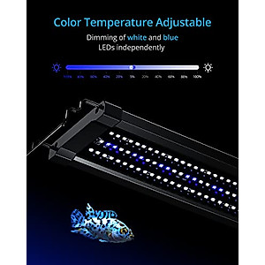 NICREW ClassicLED Gen 2 Aquarium Light, Dimmable LED Fish Tank Light with 2-Channel Control, White and Blue LEDs, High Output, Size 18 to 24 Inch, 15 Watts