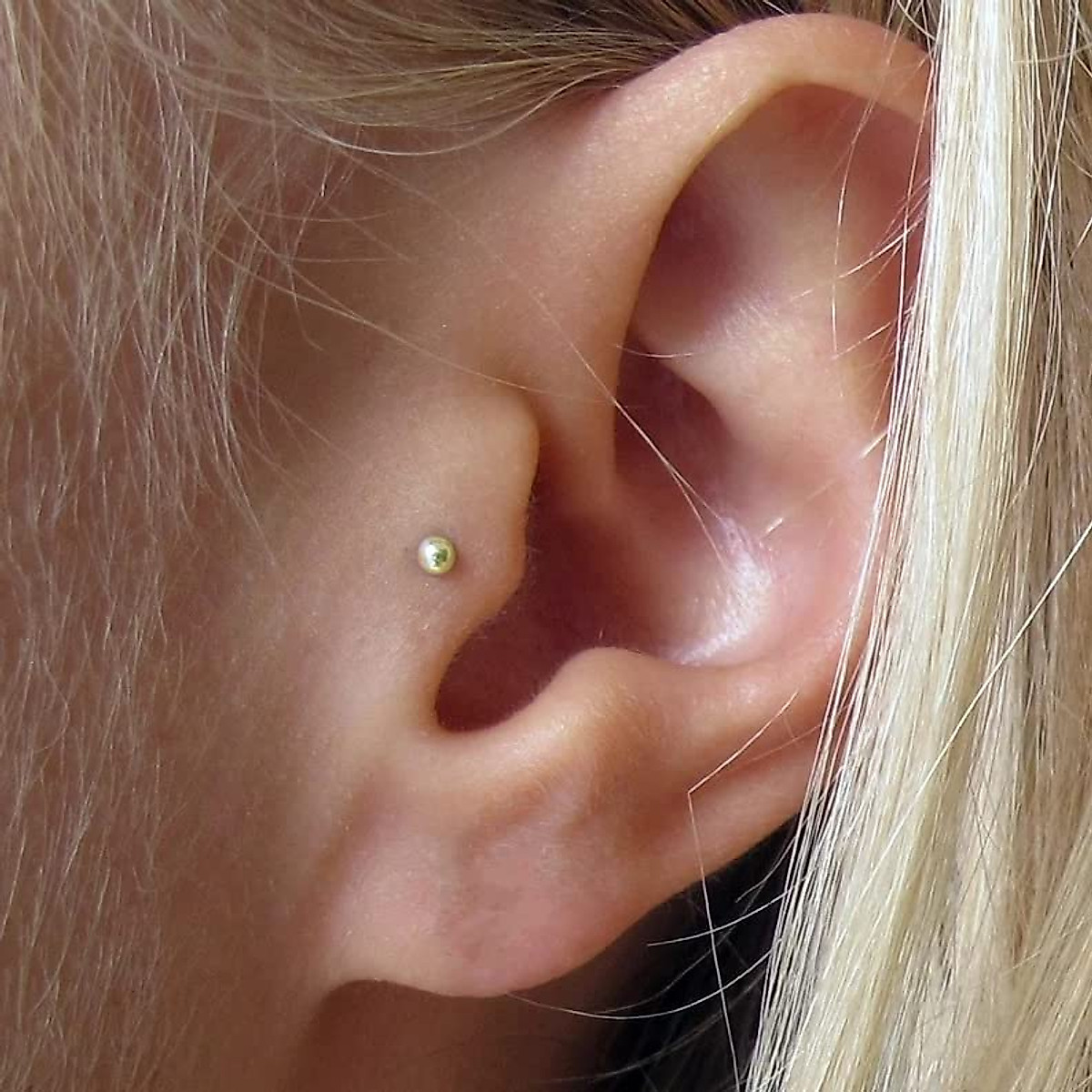 JewelryWeb Solid 14k Yellow or White Gold 16G 3mm Ball Labret Tragus Ear Lip Cartilage Stud Piercing (Yellow-Gold)