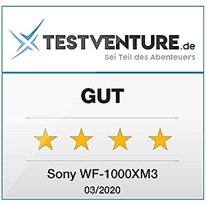 Sony Industry Leading Noise Canceling Truly Wireless Earbuds Compatible with Alexa Voice Control, Silver - Worldwide Version