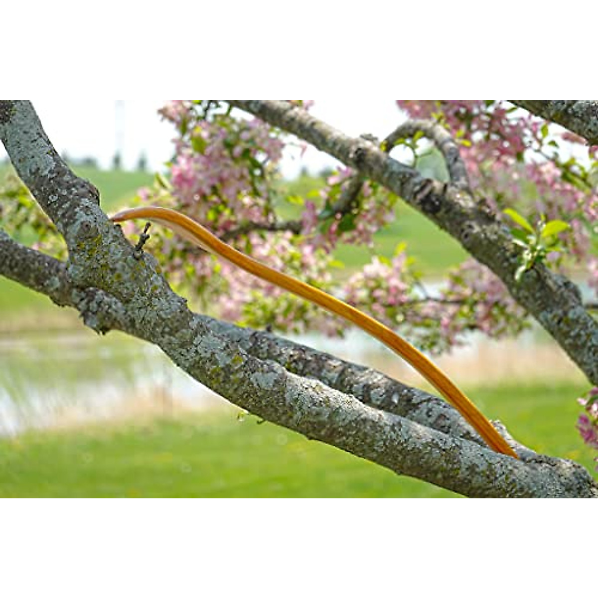 ITCHY-BAN Oversized Wooden Back Scratcher: 18'' Extended Curved Handle for Better Reach, Handcrafted to Perfection, Instant Itch Relief, Gentle on Skin Leave No Scratch Marks (Yellow)