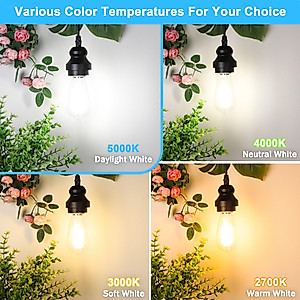 ASOMST 4-Pack Vintage LED Edison Bulbs 60W Equivalent, 850LM 6W Edison Light Bulb Daylight White 5000K, ST58 LED Filament Bulb E26 Base, Non-Dimmable