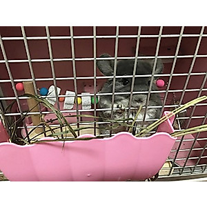 Hypeety Wooden Bird Perch Platform Pet Natural Chewing Toys Health Cage Accessories for Mouse, Chinchilla, Rat, Gerbil, Guinea-Pigs, Dwarf Hamster