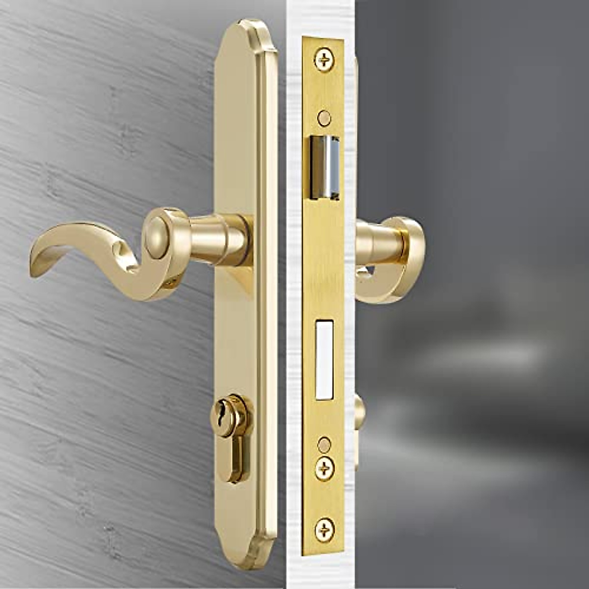HTH HTHomeprod Solid Brass Lever Handle Set for Screen / Storm Door, Double Cylinder Mortise Lock Added Security, Fit for 1 in. Or 1.38 in. Thickness Door, Polished Brass