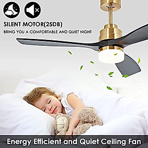 52" Outdoor Ceiling Fan with Light and Remote, Black Gold Ceiling Fan Light with Quiet DC Motor and 3 Solid Blades Noiseless Reversible Fan for Bedroom, Patio, 6-Speed Timer