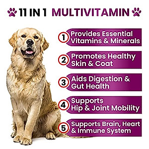 Dog Multivitamin Chewable with Glucosamine - Dog Vitamins and Supplements, Senior & Puppy Multivitamin for Dogs - Pet Chondroitin Hip and Joint Support Health, Immune Booster, Skin, Heart, Probiotics