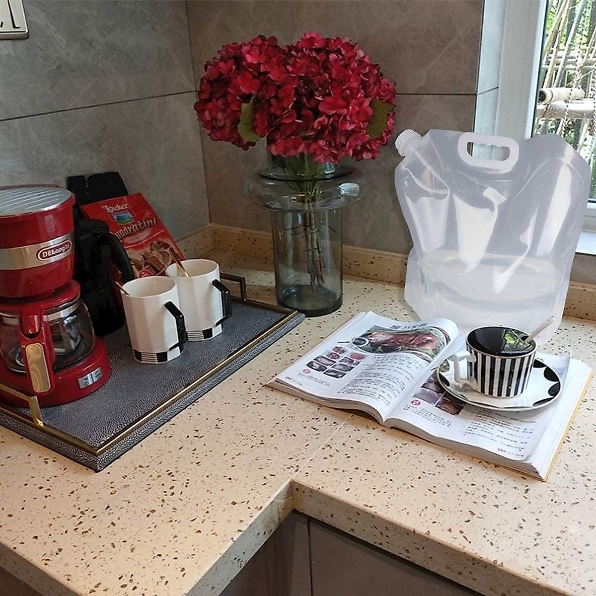 Soddeph 2.6 Gallon Collapsible Water Container Bag, BPA Free Food Grade Clear Plastic Storage Jug for Sport Camping Riding Mountaineer,Freezable,Food Grade (2.6 Gal, 4-pack)