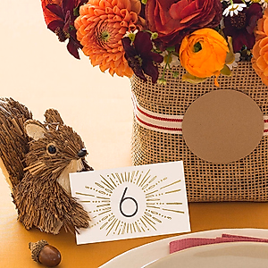 Avery Printable Business Cards, Laser Printers, 250 Cards, 2 x 3.5 (5371) (12)