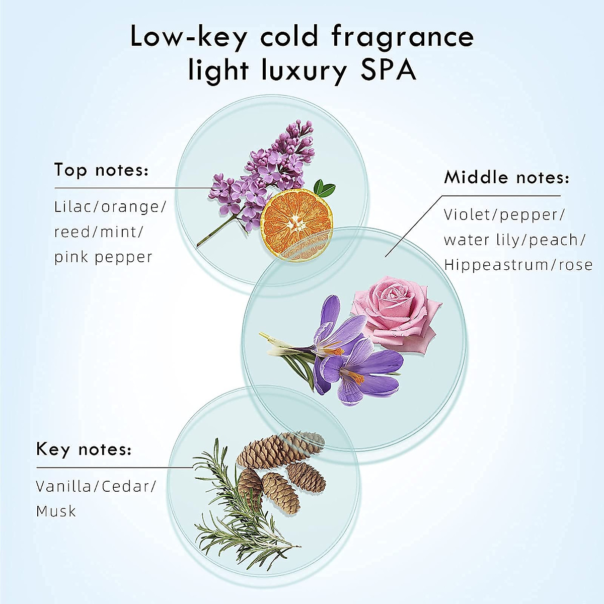 Kimtrue Scalp Treatment Deep Cleansing Gel and Sea Salt Shampoo and Seaweed Extract Hair Conditioner