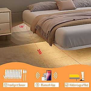 OSCHF Floating Metal Bed Frame - Queen Size Modern Platform with Smart LED Lights, Heavy Duty Bed Mattress Foundation, No Box Spring Needed, Warm White