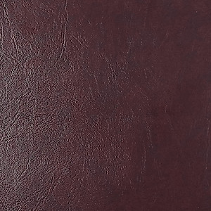 Office Star Padded Vinyl Seat and Back Traditional Guest Chair with Nailhead Accents and Mahogany Finish Wood Frame, Jamestown