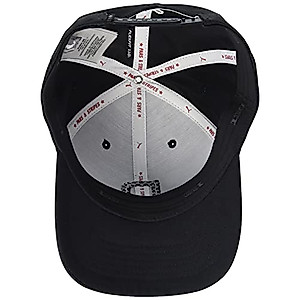 Puma Golf Men's PARS Stripes P Cap, Puma Black, OSFA
