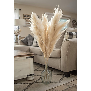 48" Extra Large Pampas Grass Stems Beige- 4 Pampas Stems - Tall-Pampas Grass for Floor Vase - Wedding Decoration