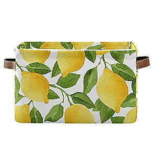 HUXINO Storage Basket Cube, Watercolor Lemon Tree Leaves Large Storage Bin Box Collapsible Clothes Toys Organizer Laundry Basket for Shelves Closet Kids Nursery Bedroom, 2 Pack