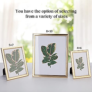 Matte Gold 8x10 Picture Frame with High Definition Glass - Set of 5 Picture Frames 8 by 10 Perfect for Wall or Tabletop Display of Your Favorite Photos - Stylish Wall Decorand Great Gift Idea
