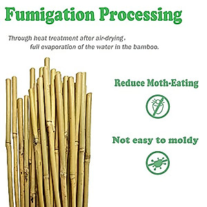 Jollybower 3/4" D Thicker Heavy Duty Bamboo Stakes,6FT Plant Stakes,Natural Garden Stakes for Tomato,Bean,Flowers,Trees Potted and Climbing Plant Support-Pack of 9 Bamboo Stick