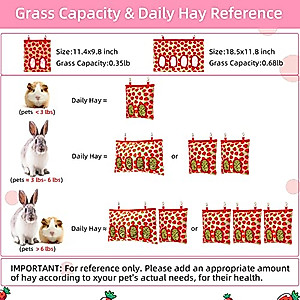 Terossy 2PCs Large Capacity Hay Feeder Rabbit, Mess-free Hanging Hay Feeder for Guinea Pigs, Hay Bag for Rabbits Bunny Chinchilla Hamster, Chew Proof Waste-free, 2Holes+4Holes, 9.8x11.4+11.8x18.5 Inch