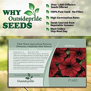 Outsidepride Spreading Tidal Wave Red Velour Petunia Garden Flowers for Hanging Baskets, Pots, Containers, Beds - 30 Seeds