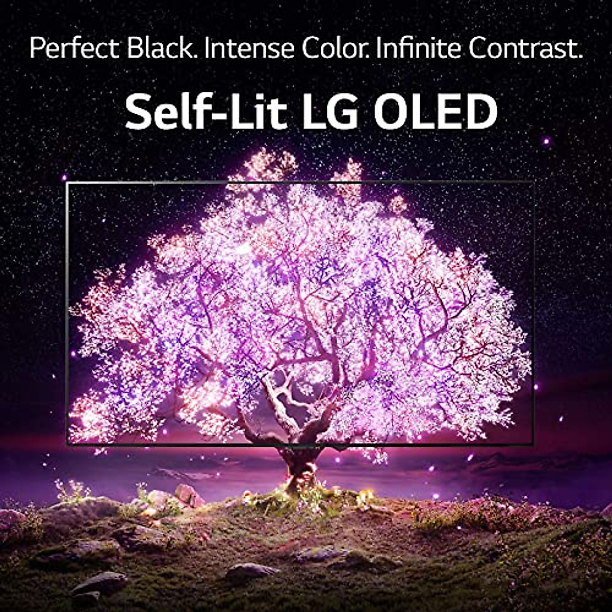 LG OLED65C1PUB 65" 4K Ultra High Definition OLED Smart C1 Series TV with an 2.1 Ch. High Resolution Audio Sound Bar with DTS Virtual:X Sound (2021)(USED)