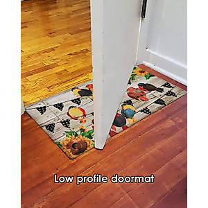 Toland Home Garden 800486 Farmhouse Birds Fall Door Mat 18x30 Inch Summer Outdoor Doormat for Entryway Indoor Entrance