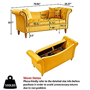Betoko Velvet Loveseat Sofas Couches with Storage Seat Flared Rolled Arm 2 Seater Sofa for Living Room Bedroom Button Tufted Small Couch with Solid Wood Legs (Yellow)