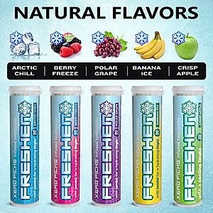 Xero Picks Freshen - Infused Flavored Toothpicks - Cooling Fresh Breath - 100 Picks - 5 Pack - Variety- polar grape, arctic chill, banana ice, berry freeze and crisp apple