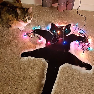 Light Up Fried Cat Rug, Funny Aunt Bethany’s Fried Pussycat Rug from National Lampoon’s Humour Christmas Vacation Decoration Carpet, Christmas Lights Decoration for Family Friends