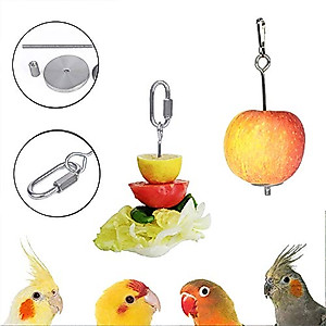 ymmsuuie 2 Pack Bird Food Bowl with 1 Fruit Skewer Holder, Stainless Steel Parrot Feeder with Clamp for cage,Stainless Steel Bowls for Cats and Dog, Bird Cage Food Water Bowls