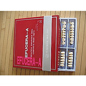 24 Plate 28X1 A1 Denture Shanghai ACRYLIC RESIN Teeth Dental Size 22