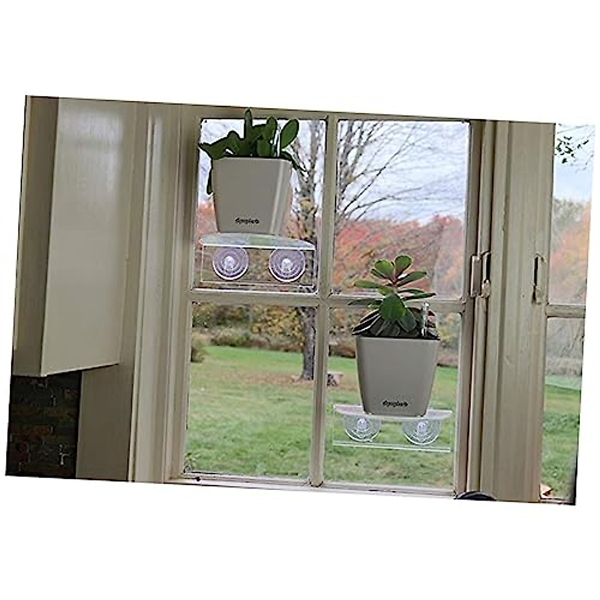 GANAZONO 3pcs window shelf for plants indoor wall mounted shelf indoor plant rack wall shelving wall organizer Shelf Suction Cup Holder Flower Holder Wall Mounted Pot Saver flower stand
