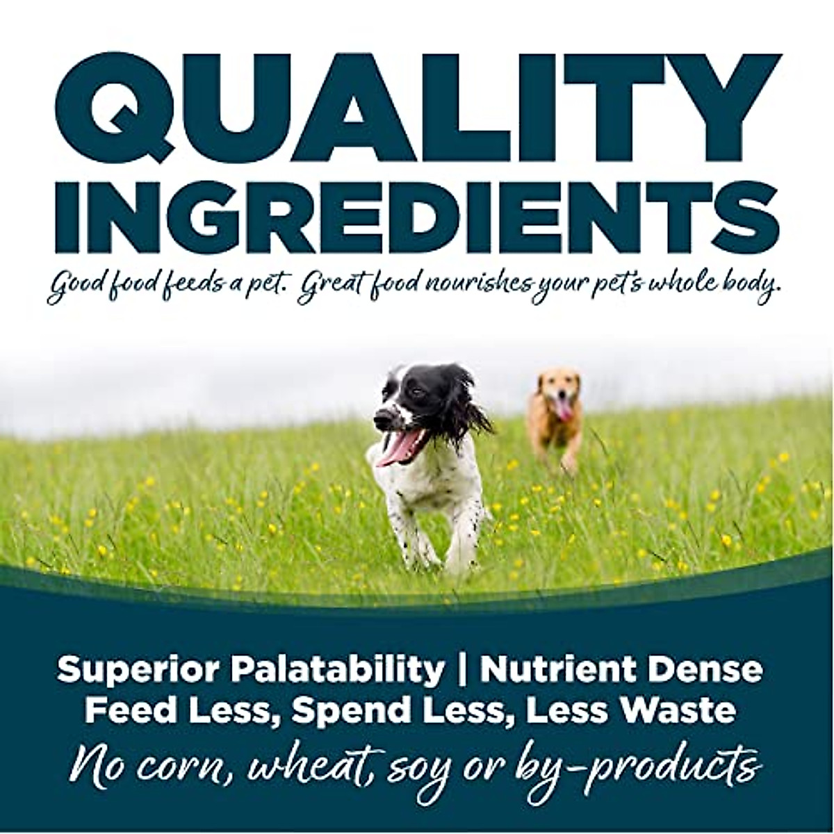 NutriSource Adult Chicken & Rice Small Bites Dog Food 5lb