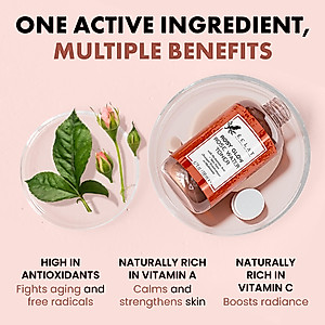 Rose Water Toner - Pure Rose Water with Hyaluronic Acid & Aloe Vera, Pore Minimizer Facial Toner, Hydrating Face Toner for Women, Rejuvenating and Soothing Skin Toner