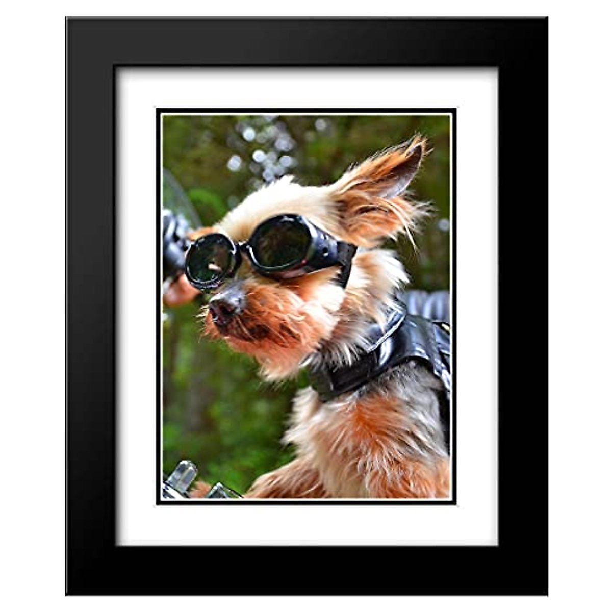 ArtDirect Custom Framed 12x14 Modern Black Wood Frame with Your Photo or Art - Upload Any Image and We Will Print and Frame it For You