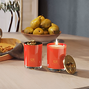 ESNA HOME Luxury Highly Scented Soy Candle | Natural Lavender Essential Oils Aromatherapy Candles for Relaxation | Unique Gifts for Women | Living Room Decor | 8.8oz 50 Hours Long Lasting Clean Burn