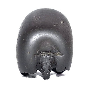 Rudrakshguru Hayagriva Shaligram - Gandaki River Nepal