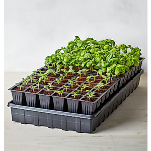 Burpee Self-Watering Seed Starter Tray, 72 Cells
