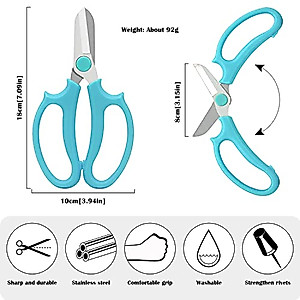 Sunnyac Garden Pruning Shears Scissors, 2 Pack Gardening Tools Hand Pruners, Floral Secateurs, Tree Trimmer, Clippers for Cutting Flowers and Plants, Trimming Branches, Bonsai, Fruits Picking (Color2)