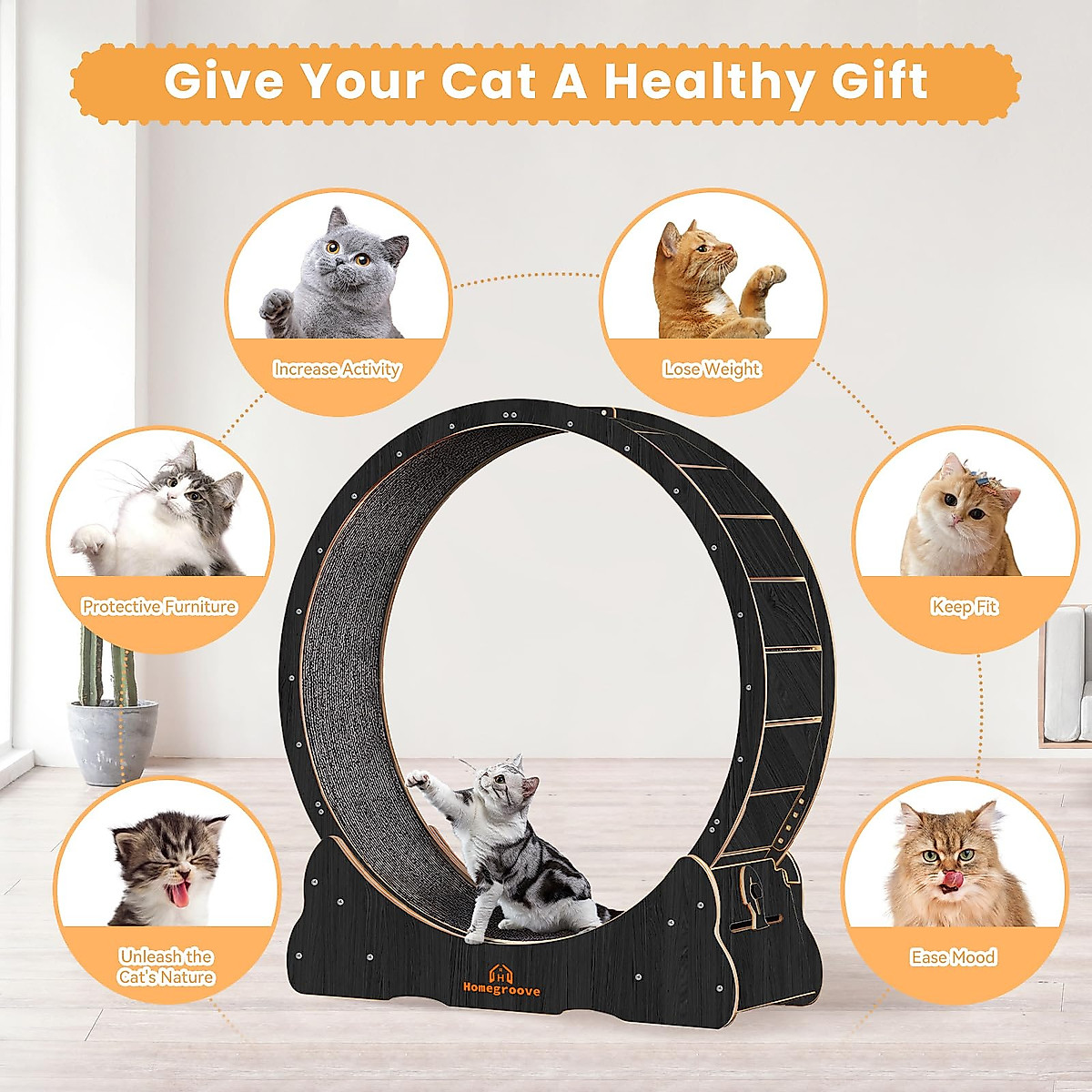 Homegroove Cat Exercise Wheel for Indoor Cat, 40" Large Cat Running Wheel with Carpeted Runway, Cat Treadmill Wheel for Kitty’s Longer Life, Cat Wheel for Fitness Weight Loss Device, Black(L)