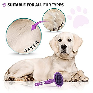 Round Bristle Pet Brush for Dogs and Cats - Gentle Grooming for Short or Long Hair - Soft Tool for Sensitive Skin Removes Dander, Dirt, and Detangles - Purple