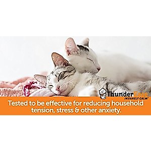 ThunderEase Multicat Calming Pheromone Diffuser Kit | Powered by FELIWAY | Reduce Cat Conflict, Tension and Fighting (30 Day Supply)