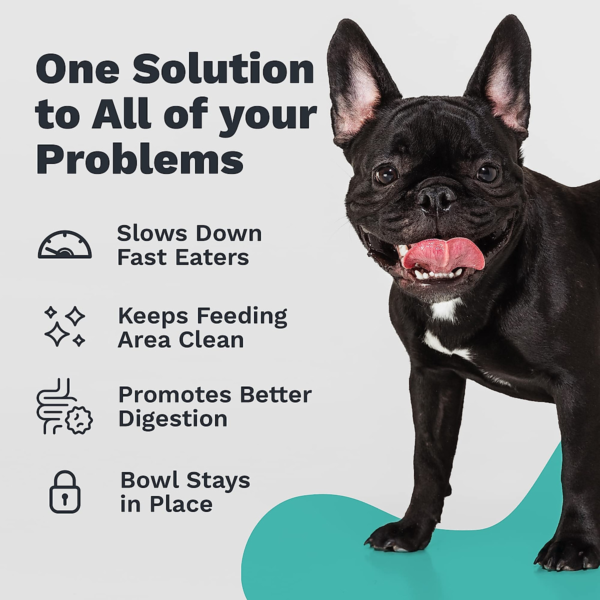 Enhanced Pet Bowl, Stainless Steel Slanted Dog Bowl with Raised Ridge for Flat-Faced Dog Breeds or Cats, Food-Grade Non-Slip No Spill Bowl for Dogs, Less Mess, Less Gas, and Better Digestion, Medium