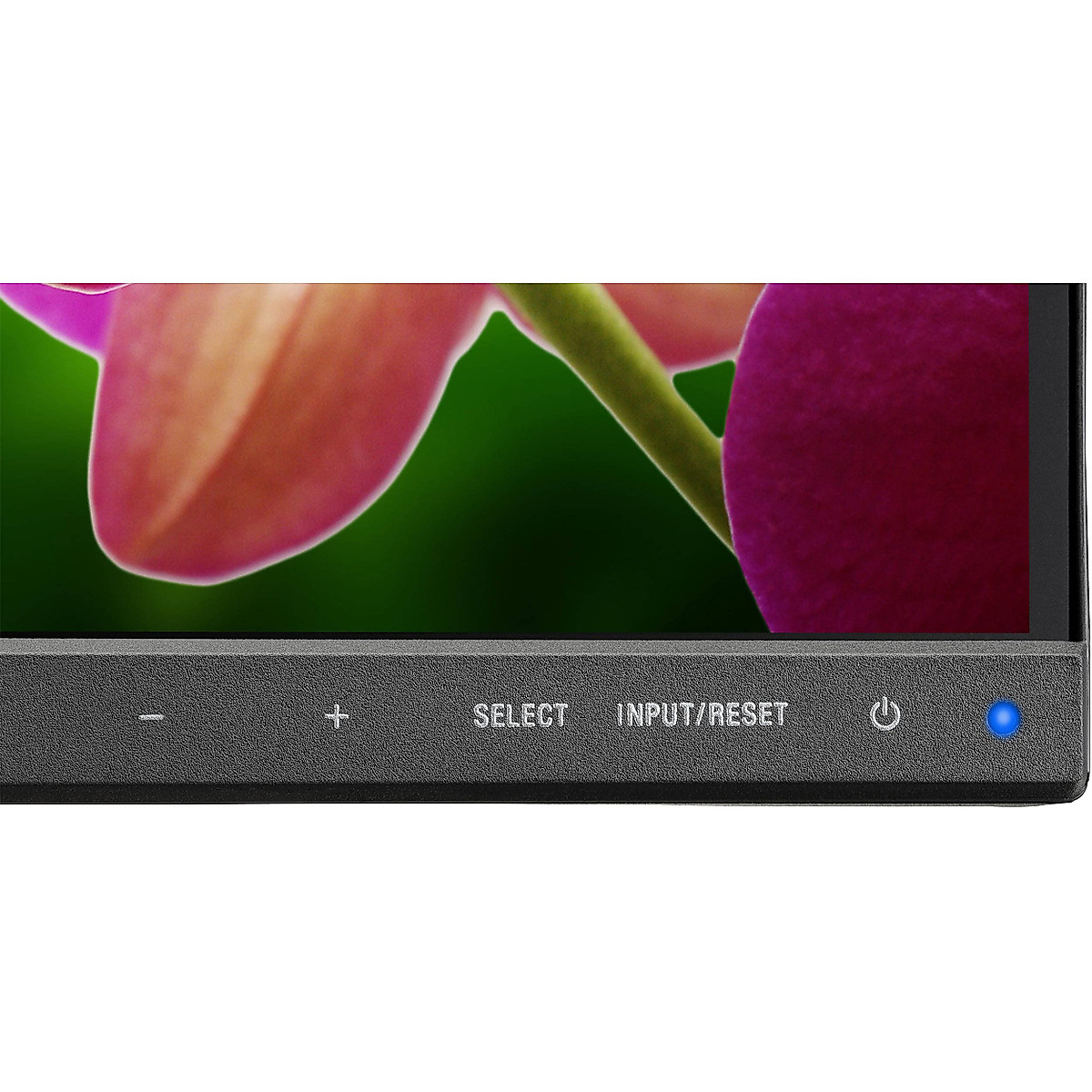 NEC 24INCH Narrow Bezel Desktop Monitor W/IPS Panel, Integrated Speakers and LED BA